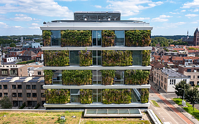 Groene gevel in de stad biedt veel voordelen | IVVD